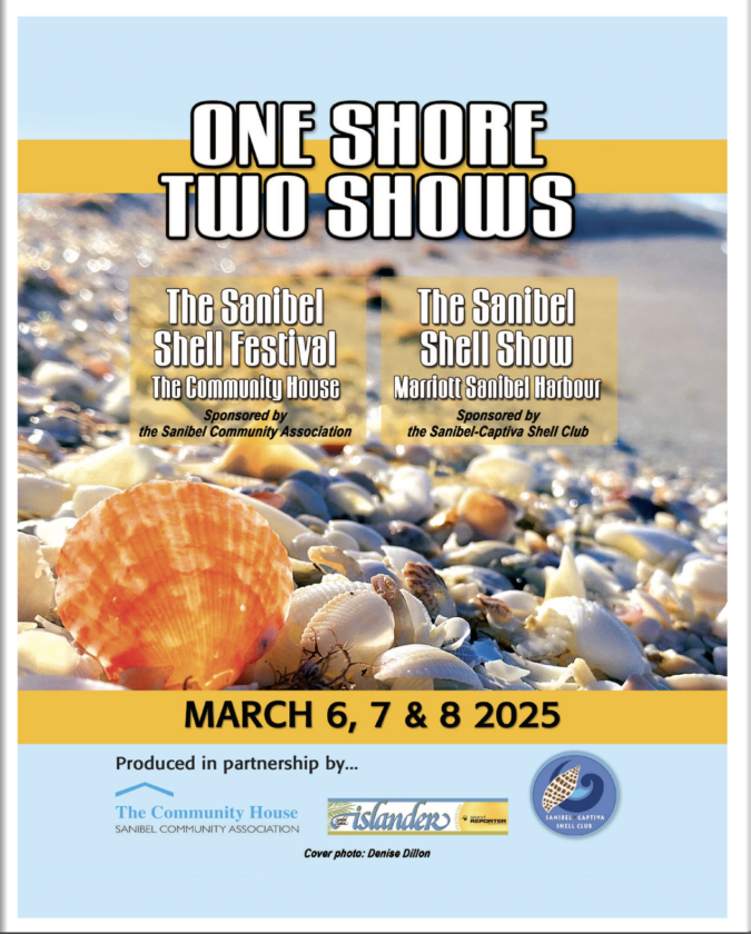 Shell Guide (2025) - SANIBEL-CAPTIVA - Island Reporter, Islander and ...
